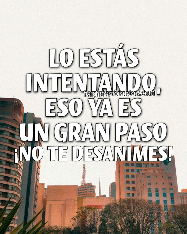 LO ESTÁS INTENTANDO, ESO YA ES UN GRAN PASO. ¡NO TE DESANIMES ...