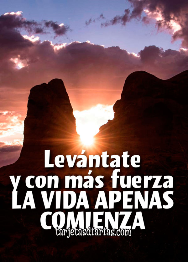 LEVÁNTATE Y CON MÁS FUERZA, LA VIDA APENAS COMIENZA - Tarjetas Diarias