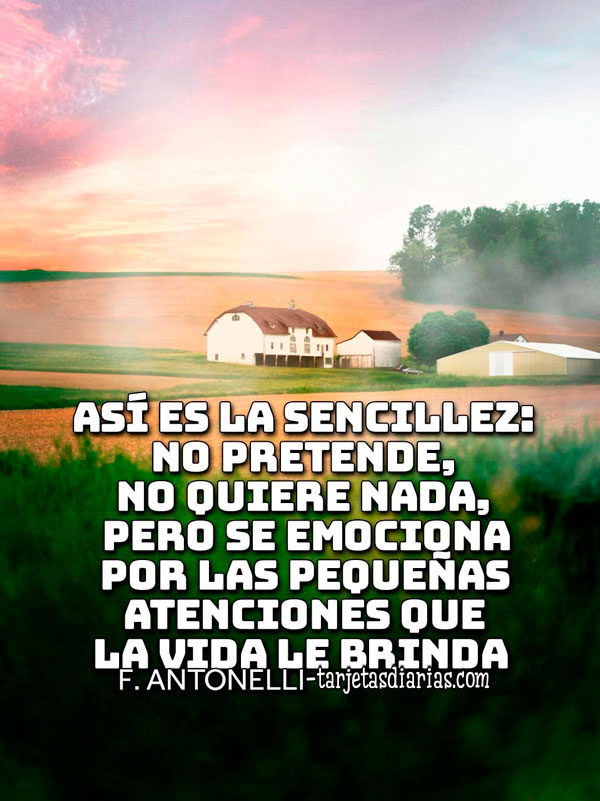 ASÍ ES LA SENCILLEZ: NO PRETENDE, NO QUIERE NADA, PERO SE EMOCIONA POR ...