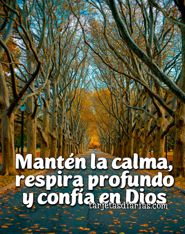 MANTÉN LA CALMA, RESPIRA PROFUNDO Y CONFÍA EN DIOS - Tarjetas Diarias