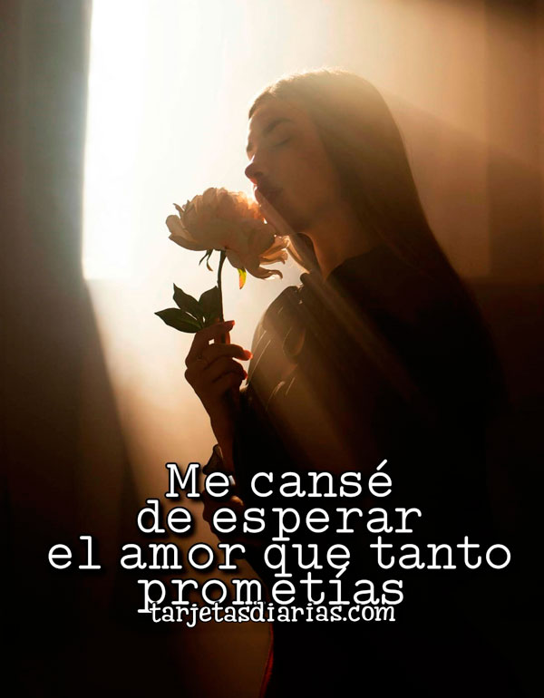 ME CANSÉ DE ESPERAR EL AMOR QUE TANTO PROMETÍAS - Tarjetas Diarias