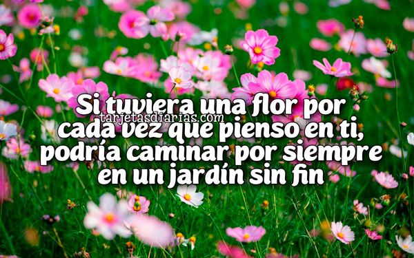 SI TUVIERA UNA FLOR POR CADA VEZ QUE PIENSO EN TI, PODRÍA CAMINAR POR ...