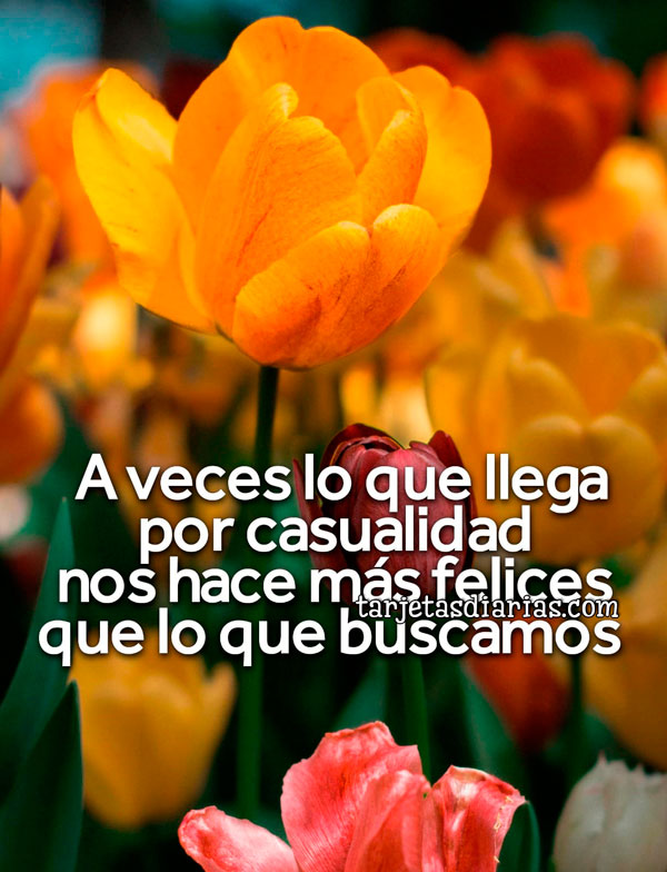 A VECES LO QUE LLEGA POR CASUALIDAD, NOS HACE MÁS FELICES QUE LO QUE ...