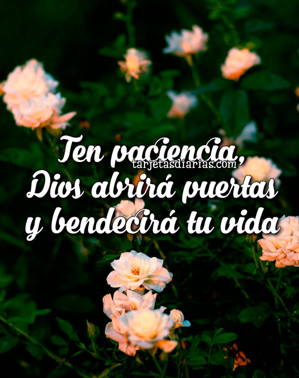 TEN PACIENCIA, DIOS ABRIRÁ PUERTAS Y BENDECIRÁ TU VIDA - Tarjetas Diarias
