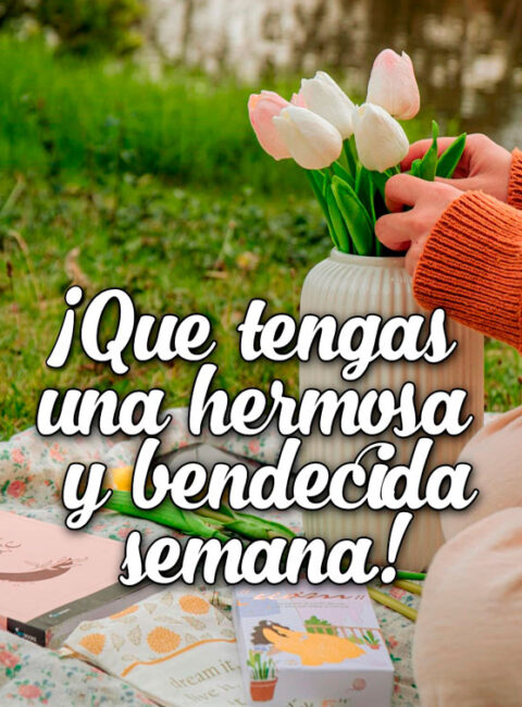 LA VIDA ESTÁ LLENA DE BENDICIONES Y TÚ ERES UNA DE ELLAS - Tarjetas Diarias