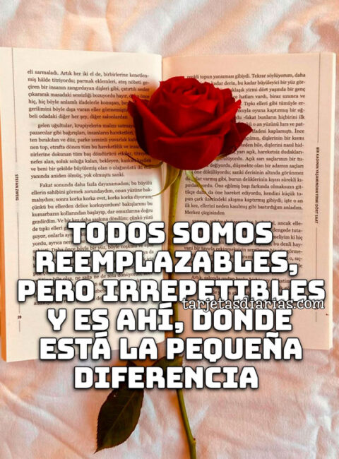 EL MUNDO ES COMO TÚ ERES. SI ERES COMPLICADO, ES COMPLICADO. SI ERES ...