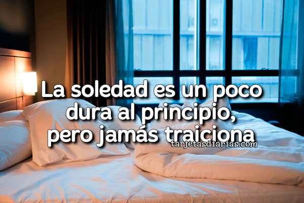 LA SOLEDAD ES UN POCO DURA AL PRINCIPIO, PERO JAMÁS TRAICIONA ...