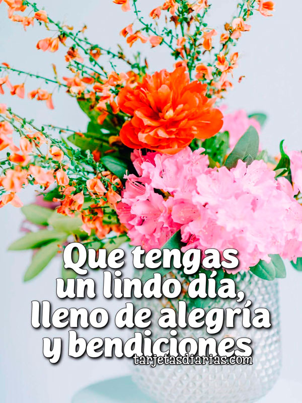 Bendiciones - Tarjetas Diarias