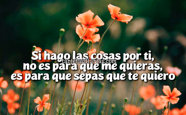 SI HAGO COSAS POR TI, NO ES PARA QUE ME QUIERAS, ES PARA QUE SEPAS QUE ...