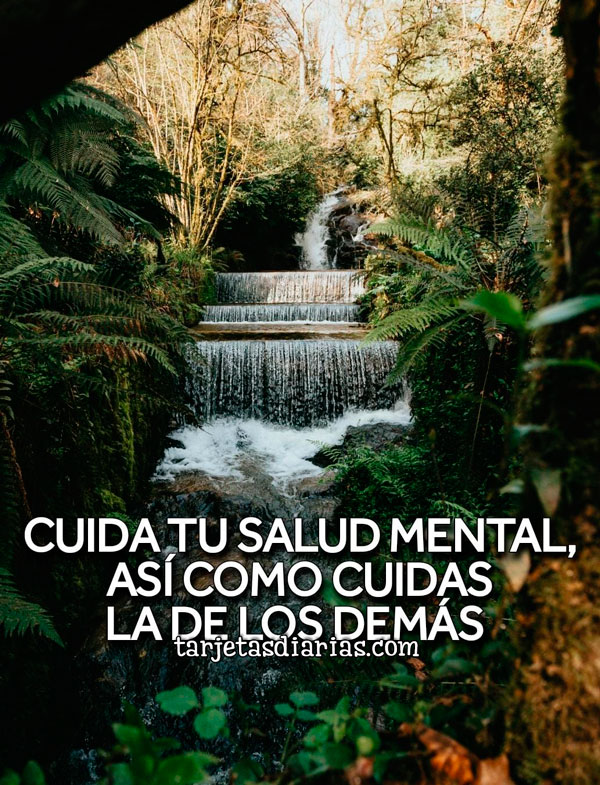 CUIDA TU SALUD MENTAL, ASÍ COMO CUIDAS LA DE LOS DEMÁS - Tarjetas Diarias