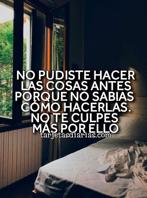 NO PUDISTE HACER LAS COSAS ANTES PORQUE NO SABIAS CÓMO HACERLAS. NO TE ...