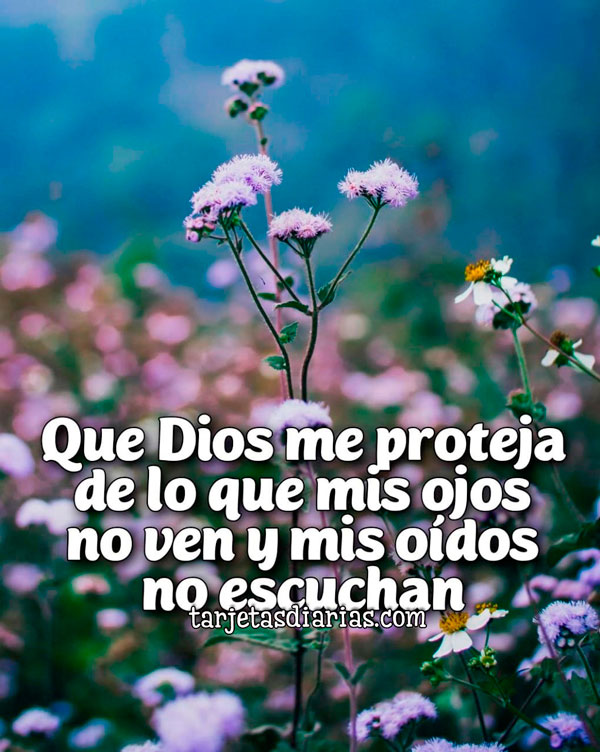 QUE DIOS ME PROTEJA DE LO QUE MIS OJOS NO VEN Y MIS OÍDOS NO ESCUCHAN ...