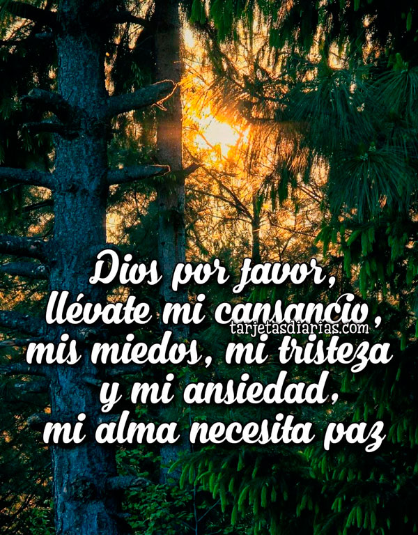 DIOS POR FAVOR, LLÉVATE MI CANSANCIO, MIS MIEDOS, MI TRISTEZA Y MI ...