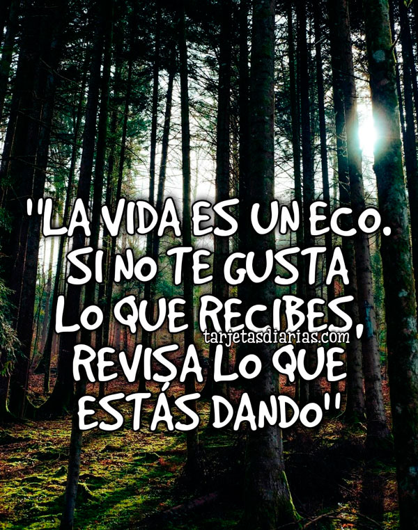 “LA VIDA ES UN ECO. SI NO TE GUSTA LO QUE RECIBES, REVISA LO QUE ESTÁS ...