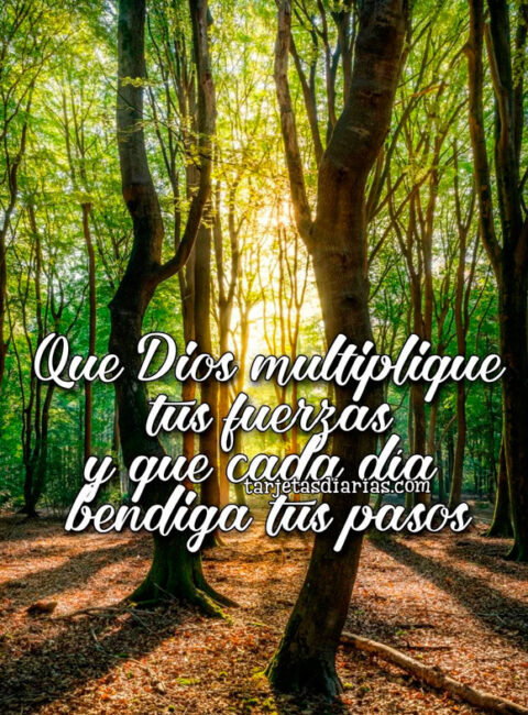 QUE TUS FUERZAS SE RENUEVEN Y TU ESPÍRITU SE FORTALEZCA CON EL AMOR Y ...