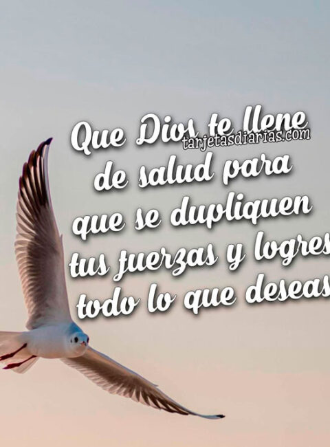 HABLA CON DIOS PARA QUE TU CORAZÓN FLOREZCA Y SE LLENE DE PAZ ...