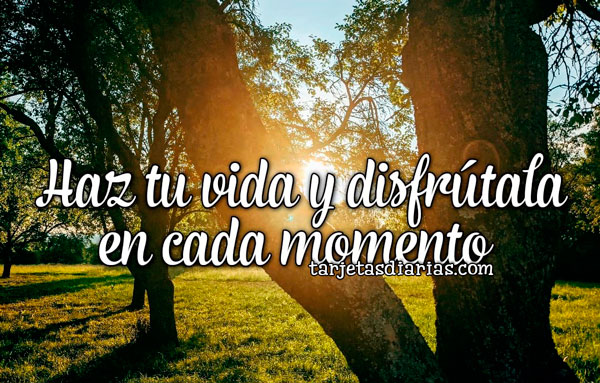 HAZ TU VIDA Y DISFRÚTALA EN CADA MOMENTO - Tarjetas Diarias