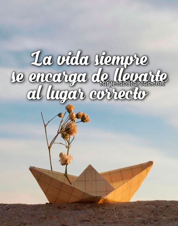 LA VIDA SIEMPRE SE ENCARGA DE LLEVARTE AL LUGAR CORRECTO - Tarjetas Diarias