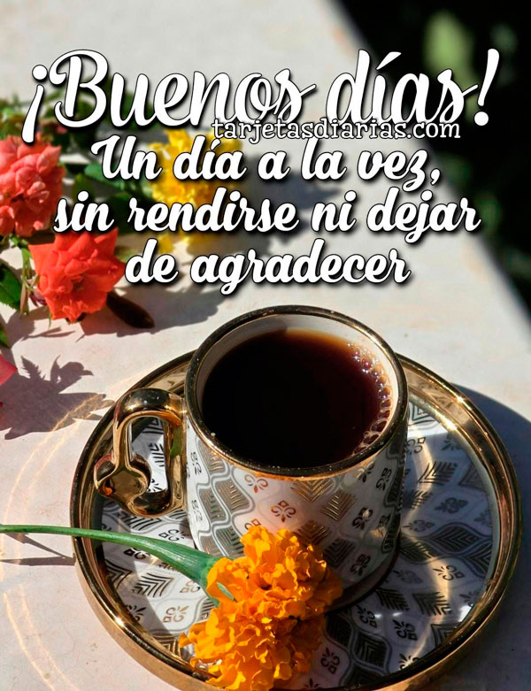 ¡BUENOS DÍAS! UN DÍA A LA VEZ, SIN RENDIRSE NI DEJAR DE AGRADECER ...
