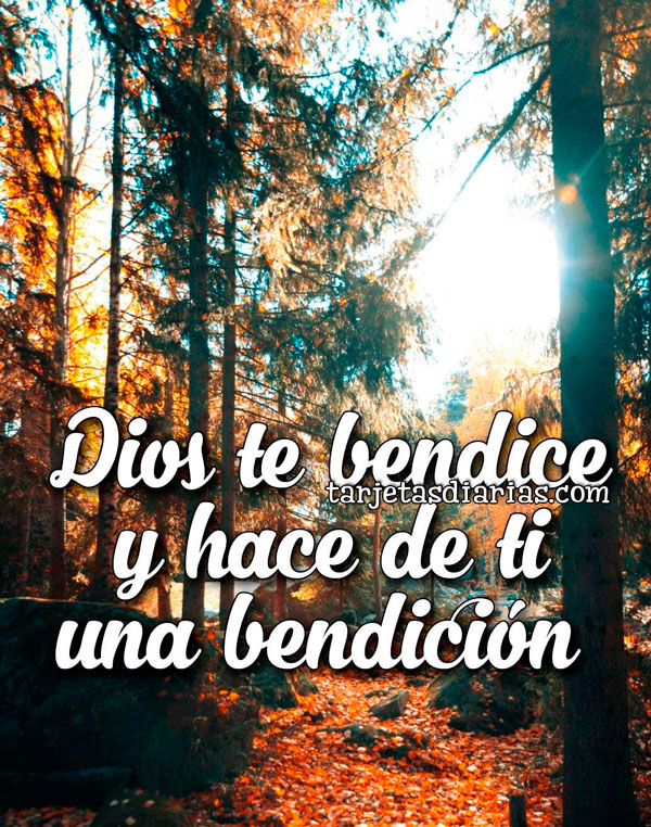 DIOS TE BENDICE Y HACE DE TI UNA BENDICIÓN - Tarjetas Diarias