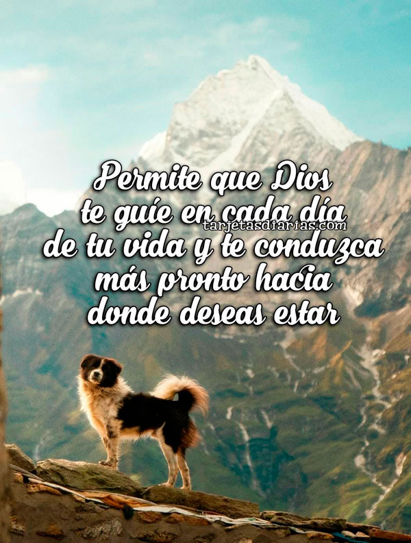 PERMITE QUE DIOS TE GUÍE EN CADA DÍA DE TU VIDA Y TE CONDUZCA MÁS ...