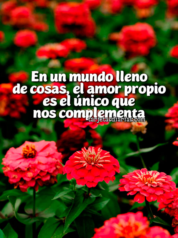 EN UN MUNDO LLENO DE COSAS, EL AMOR PROPIO ES EL ÚNICO QUE NOS ...