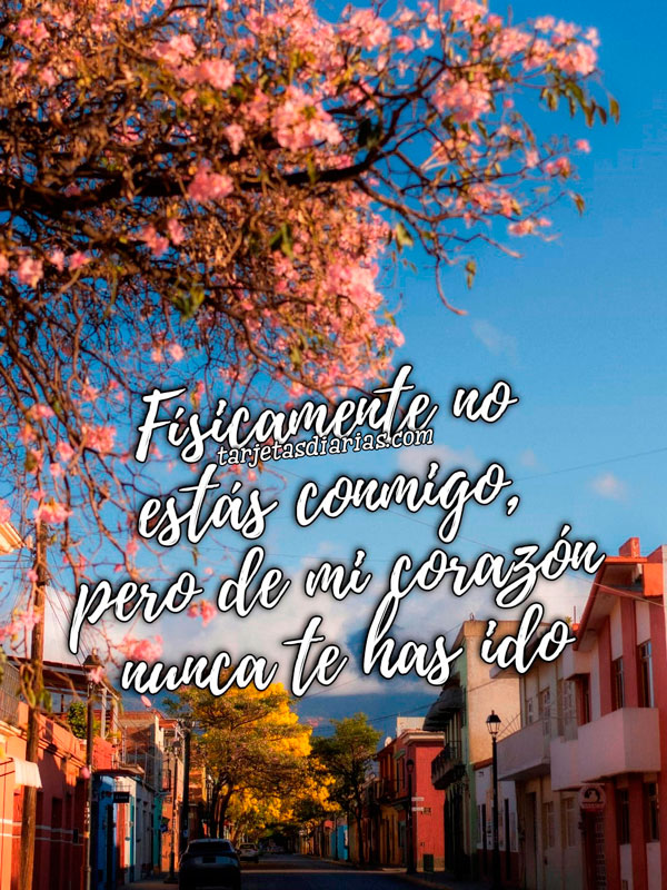 FÍSICAMENTE NO ESTÁS CONMIGO, PERO DE MI CORAZÓN NUNCA TE HAS IDO ...