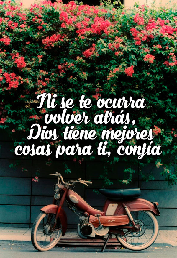NI SE TE OCURRA VOLVER ATRÁS, DIOS TIENE MEJORES COSAS PARA TI, CONFÍA ...