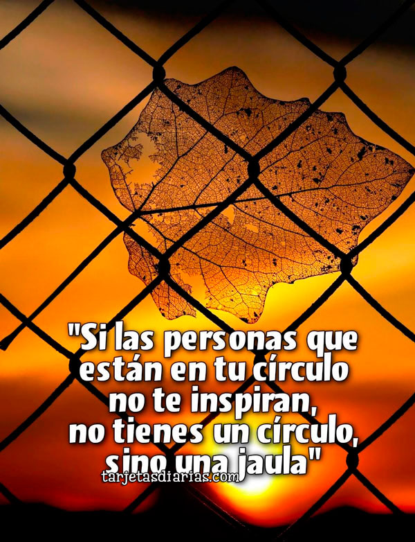 “SI LAS PERSONAS QUE ESTÁN EN TU CÍRCULO NO TE INSPIRAN, NO TIENES ...