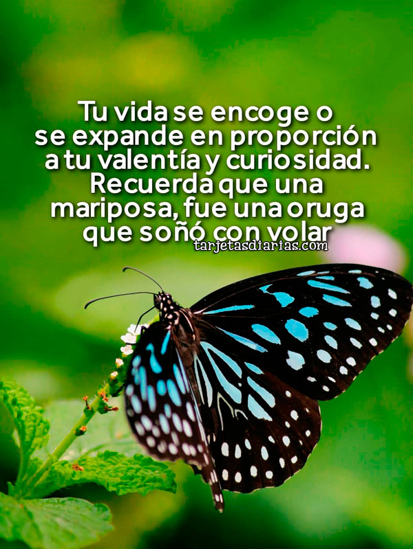 TU VIDA SE ENCOGE Y SE EXPANDE EN PROPORCIÓN A TU VALENTÍA Y CURIOSIDAD ...