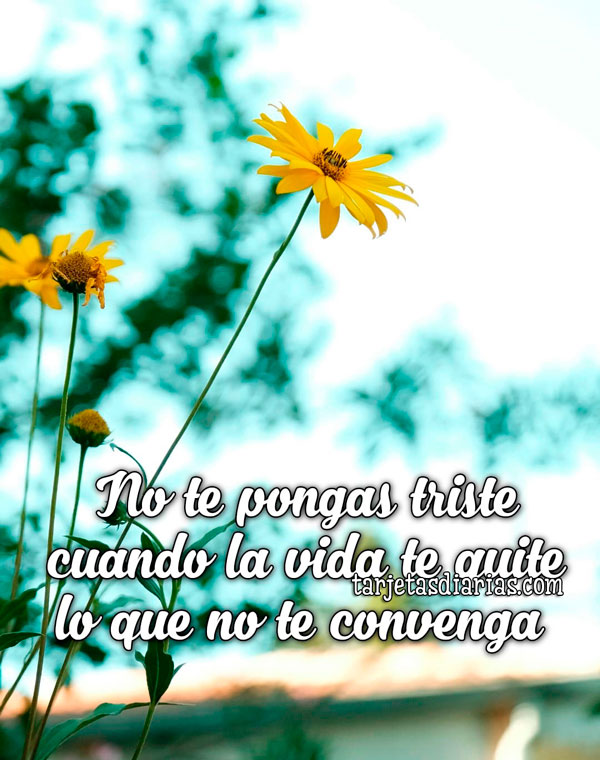NO TE PONGAS TRISTE CUANDO LA VIDA TE QUITE LO QUE NO TE CONVENGA ...