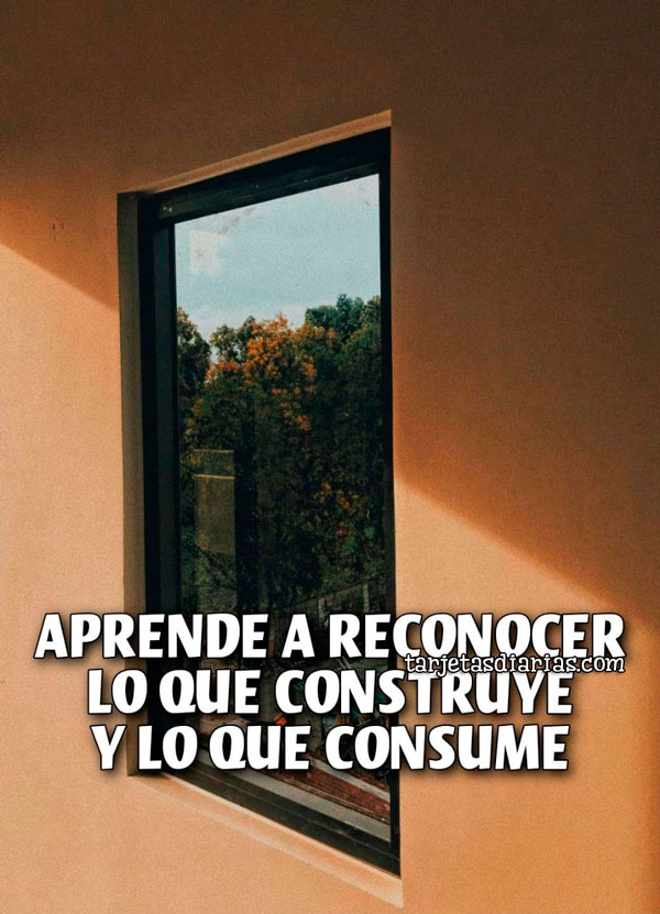 APRENDE A RECONOCER LO QUE CONSTRUYE Y LO QUE CONSUME - Tarjetas Diarias