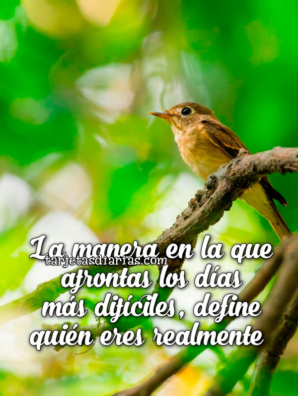 LA MANERA EN LA QUE AFRONTAS LOS DÍAS DIFÍCILES, DEFINE QUIÉN ERES ...