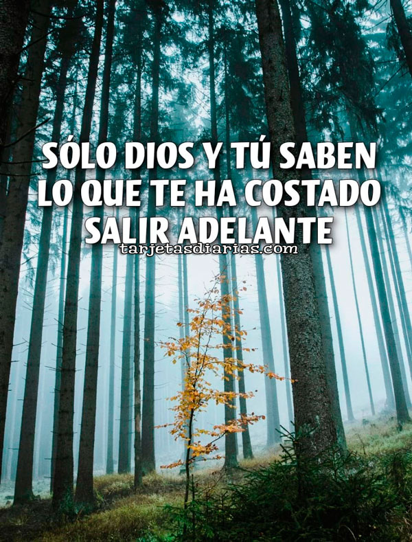 SÓLO DIOS Y TÚ SABEN LO QUE TE HA COSTADO SALIR ADELANTE - Tarjetas Diarias